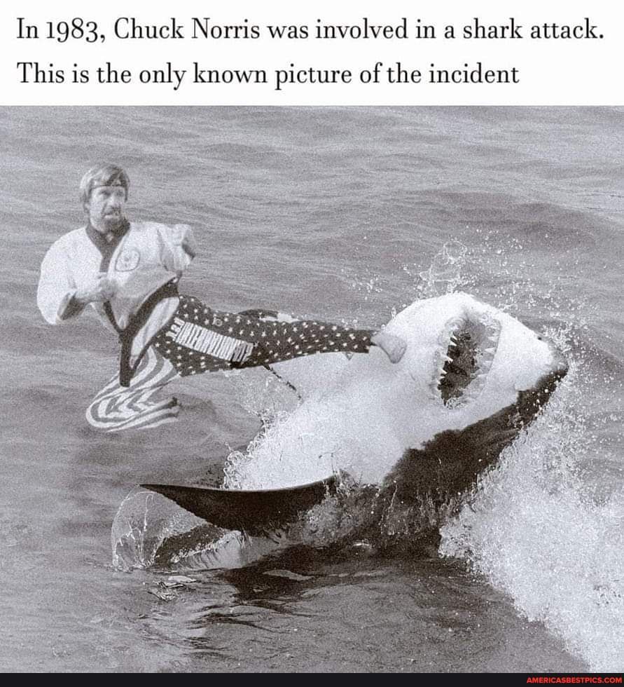 In 1983, Chuck Norris was involved in a shark attack. This is the only ...