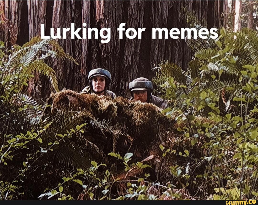 Lurking for memes - iFunny