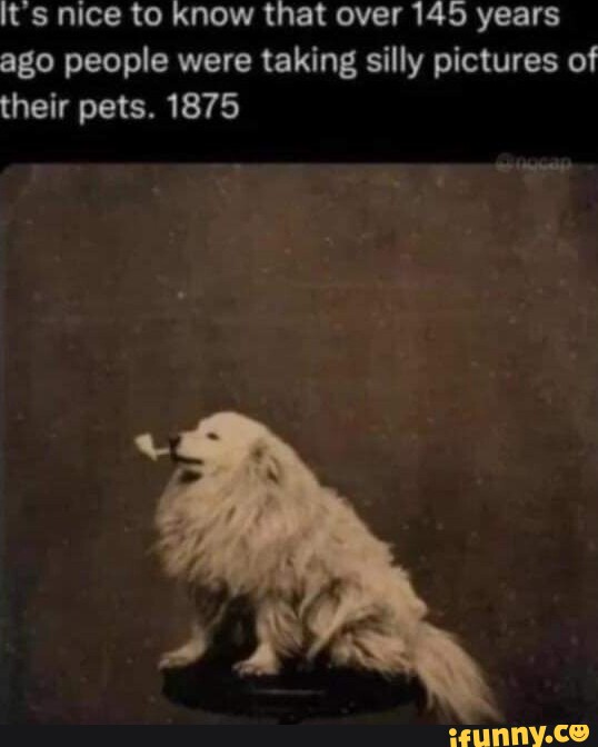 It's nice to know that over 145 years ago people were taking silly ...