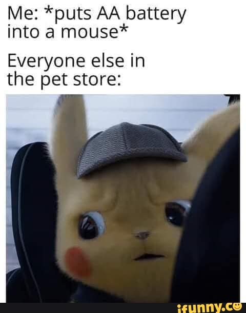 Me: *puts AA battery into a mouse* Everyone else in the pet store: - iFunny