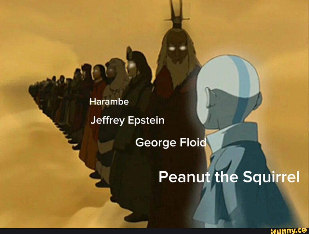 Harambe Jeffrey Epstein George Flo Peanut the Squirrel - iFunny