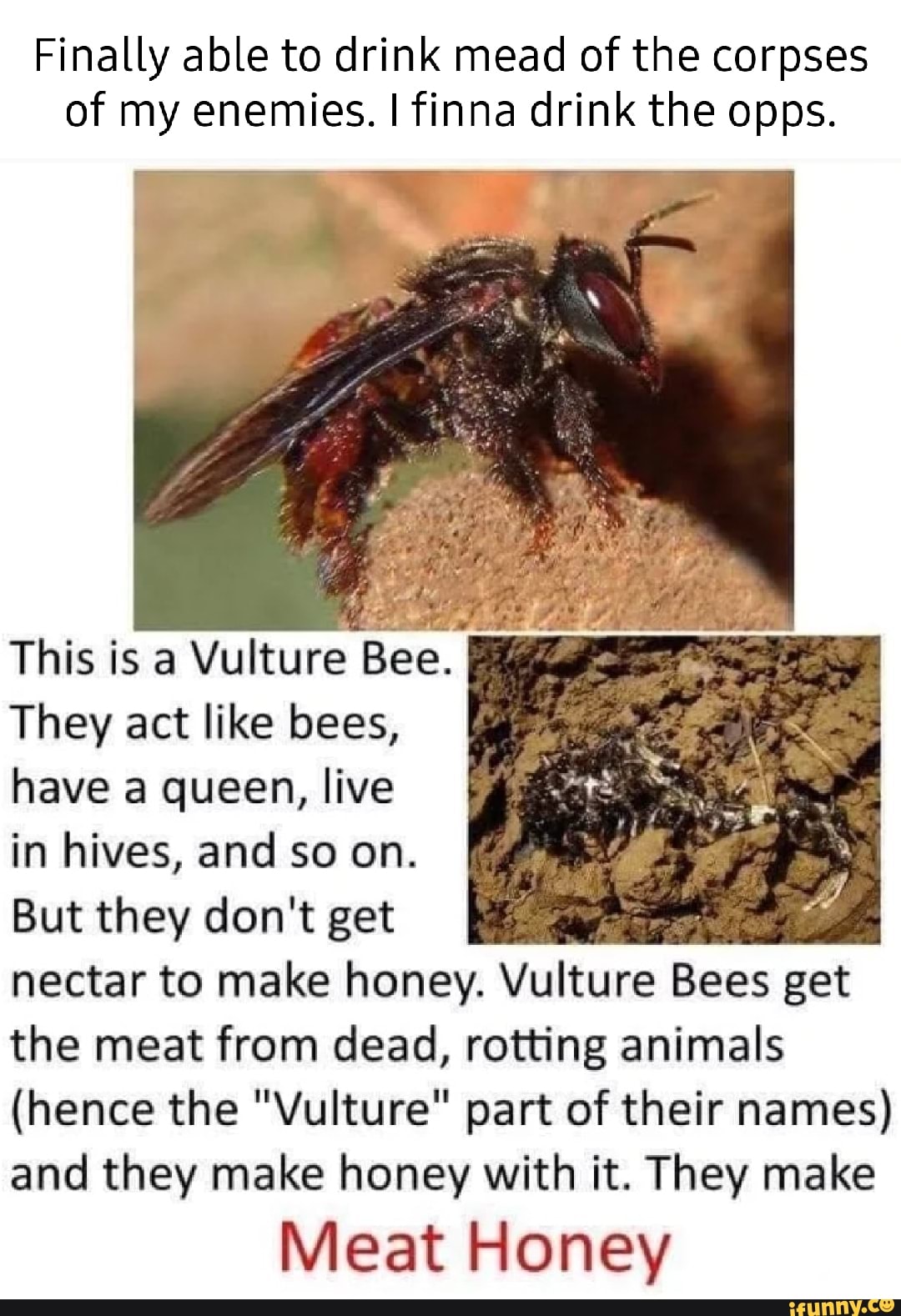 Finally able to drink mead of the corpses of my enemies. I finna drink ...