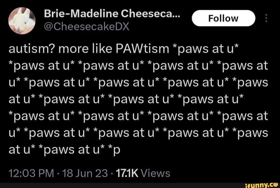 Brie memes. Best Collection of funny Brie pictures on iFunny
