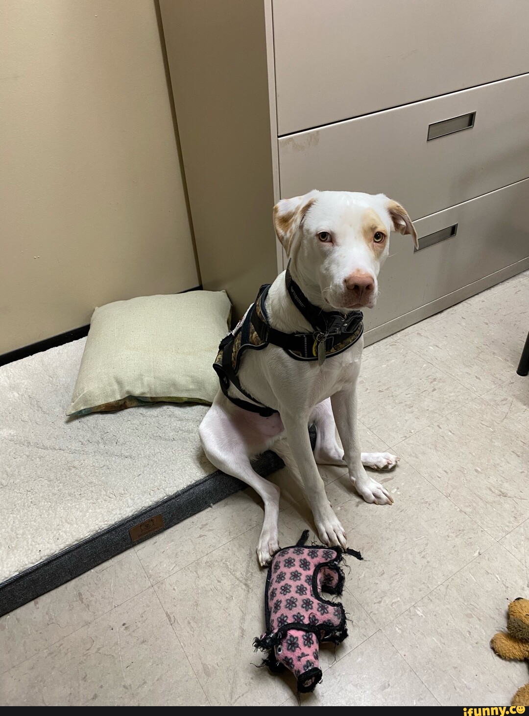 Overwork memes. Best Collection of funny Overwork pictures on iFunny