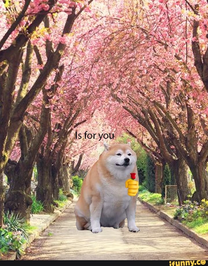 Unclemurphy memes. Best Collection of funny Unclemurphy pictures on iFunny