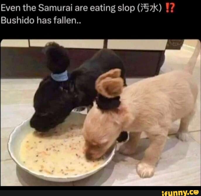 Even the Samurai are eating slop Bushido has fallen.. - iFunny