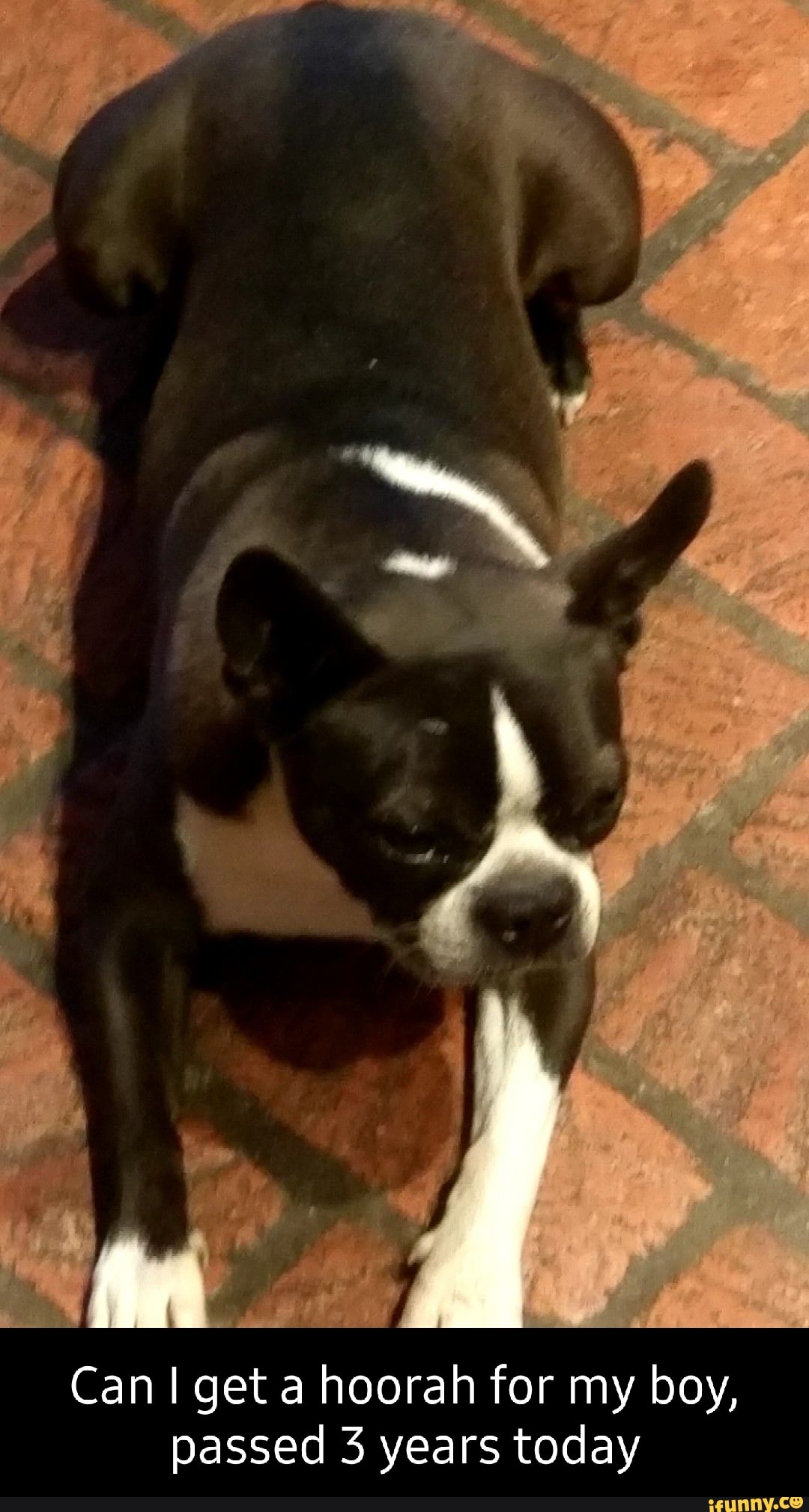 Hoorah memes. Best Collection of funny Hoorah pictures on iFunny