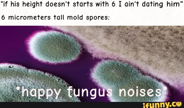 Micrometers memes. Best Collection of funny Micrometers pictures on iFunny