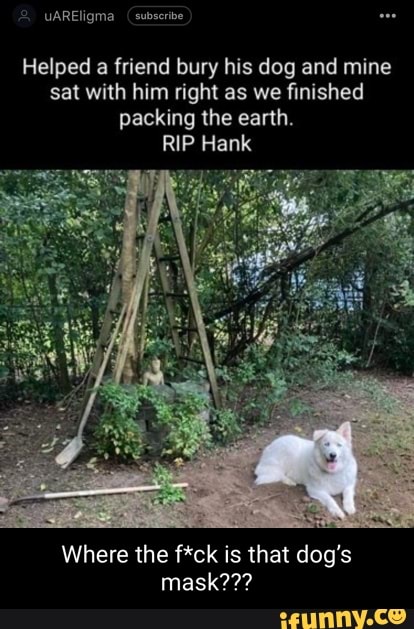 Packing memes. Best Collection of funny Packing pictures on iFunny