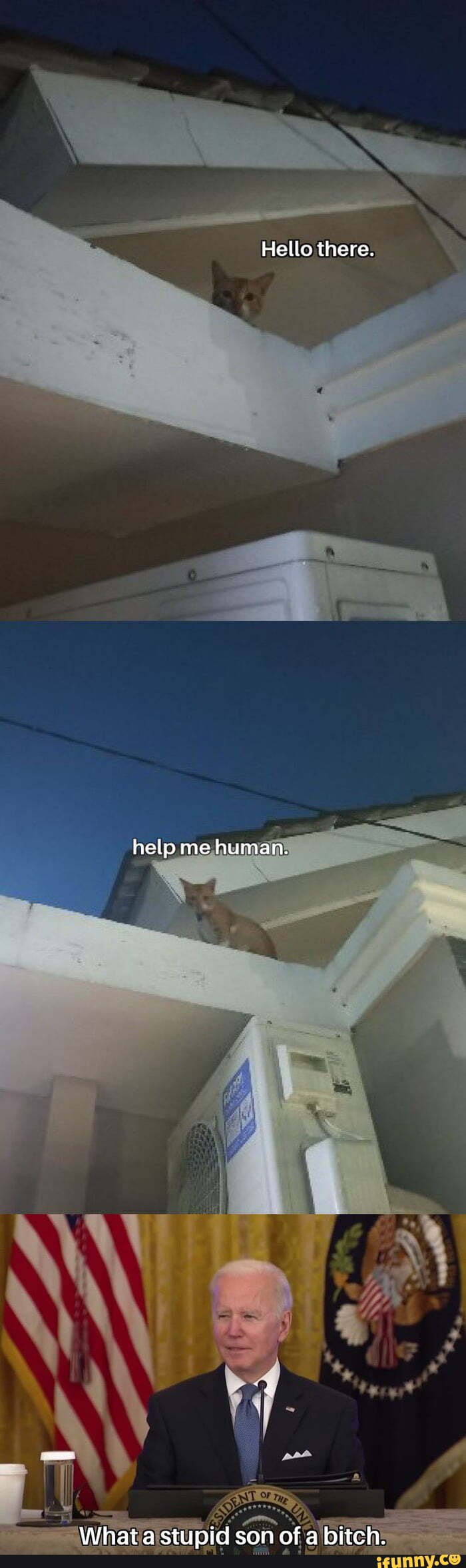 Ctiinid memes. Best Collection of funny Ctiinid pictures on iFunny