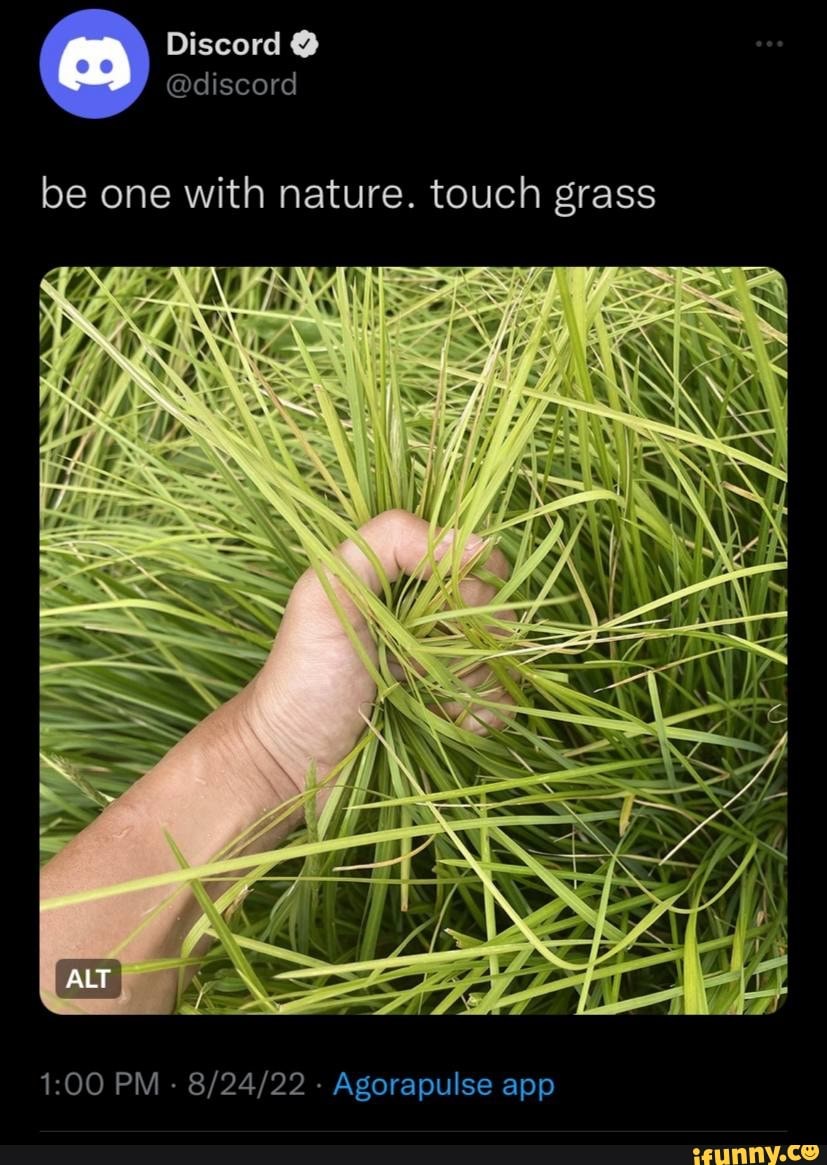 Discord @discord be one with nature. touch grass ALT PM - - Agorapulse ...