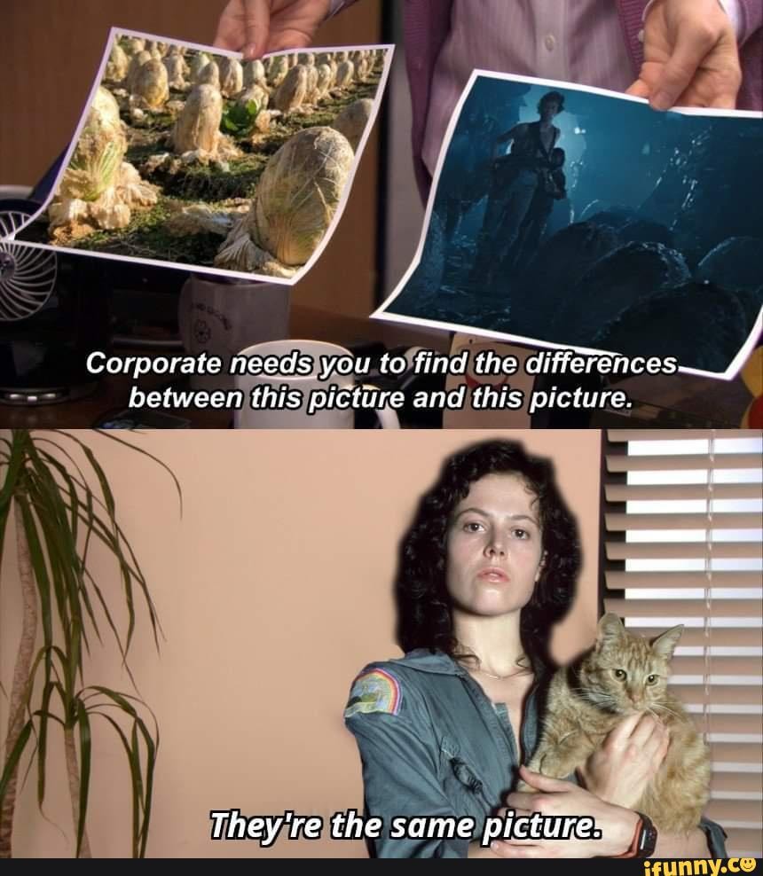 #meme #alien #aliens #ripley #jonesy - Corporate needs you to find the ...