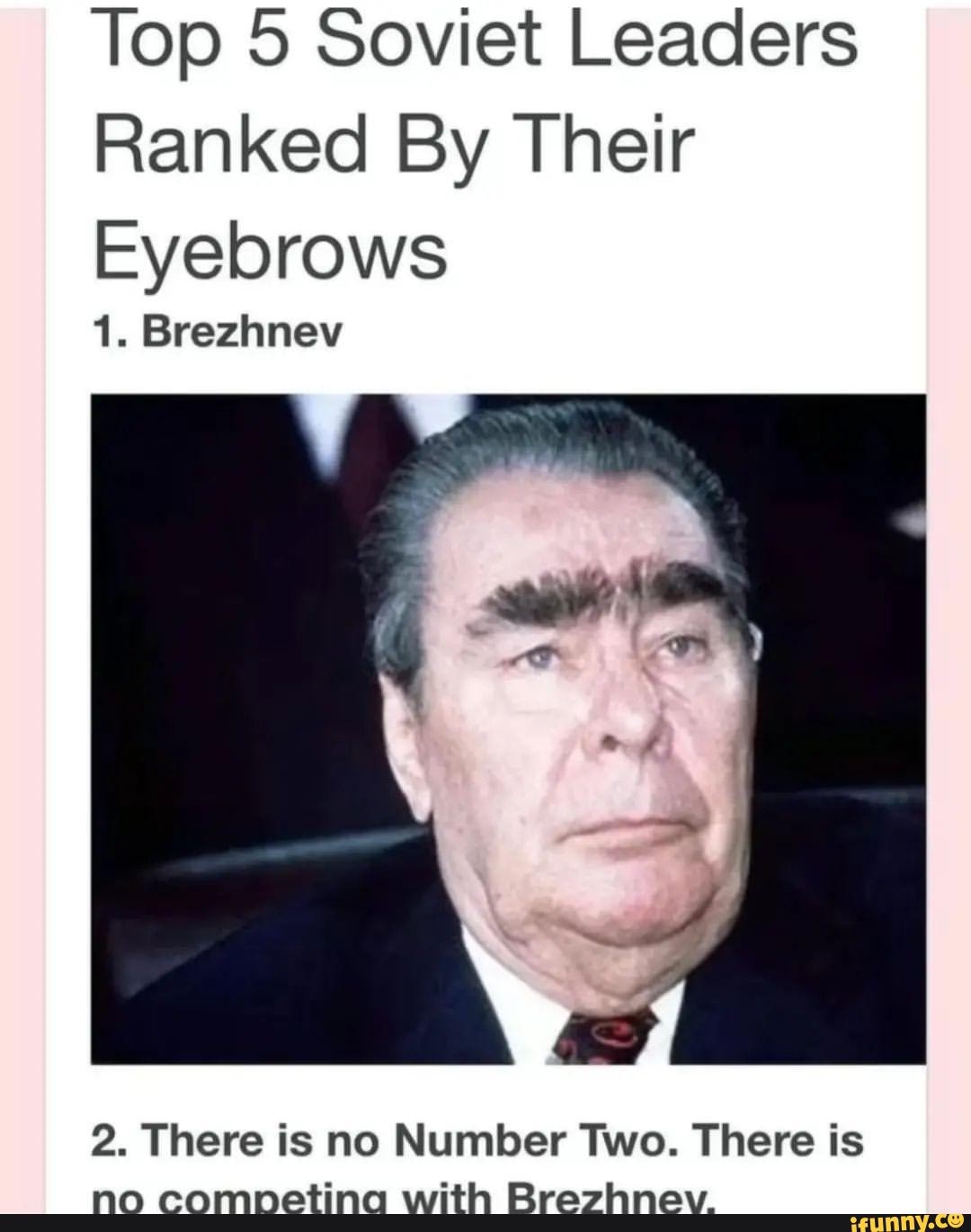 Top 5 Soviet Leaders Ranked By Their Eyebrows 1. Brezhnev 2. There is ...
