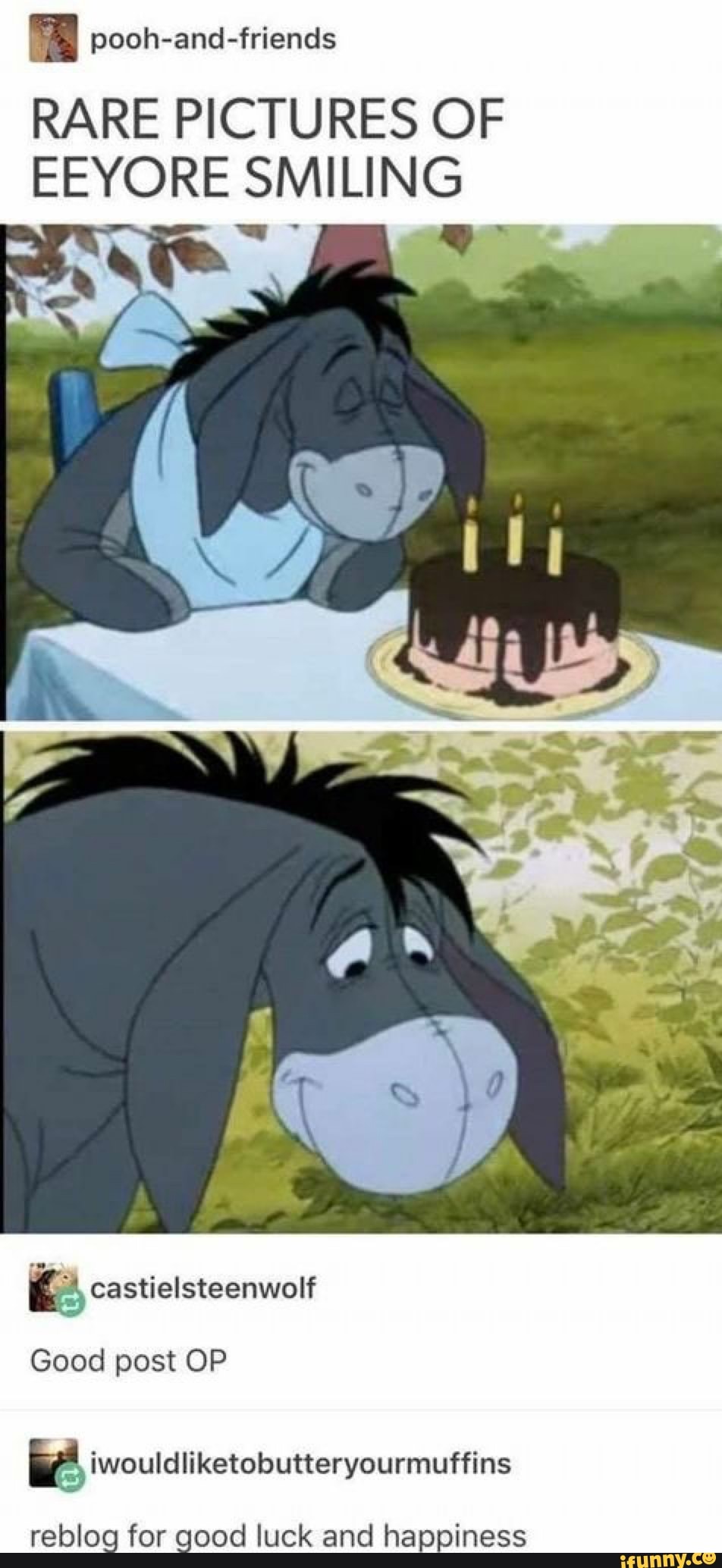 RARE PICTURES OF EEYORE SMILING E) castielsteenwolf Good post OP - iFunny