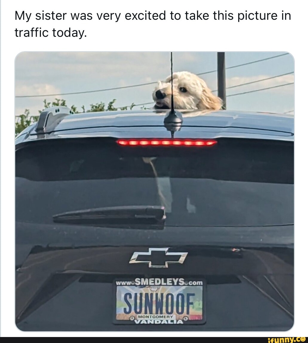Phteven License Plate Meme