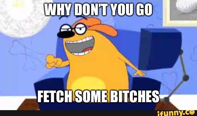 Fetchwithruffruffman memes. Best Collection of funny ...