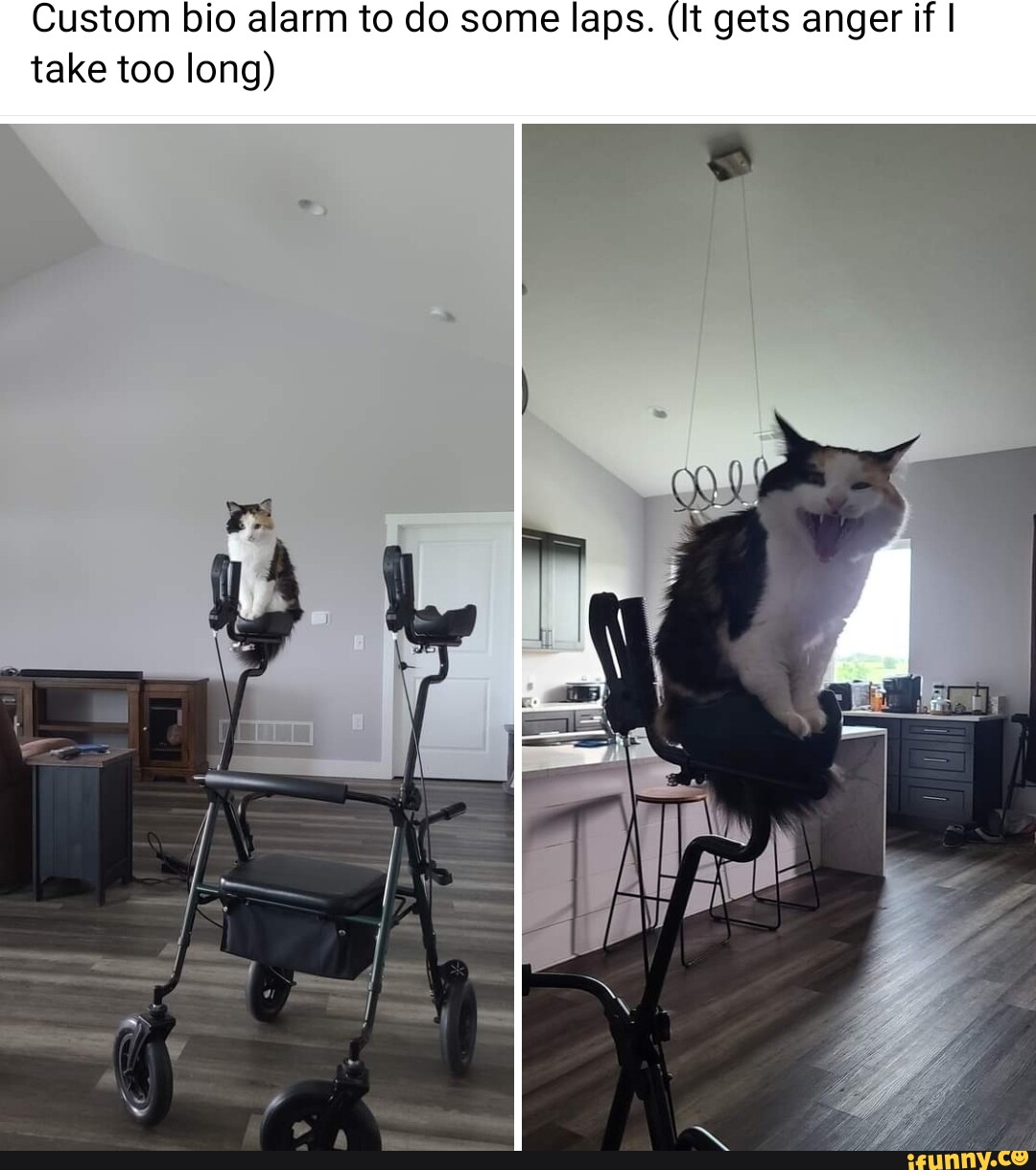 Rollator memes. Best Collection of funny Rollator pictures on iFunny