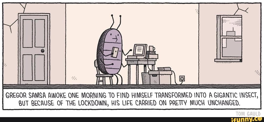 Yesterday’s cartoon for The Guardian by Tom Gauld - GREGOR SAMSA AWOKE ...