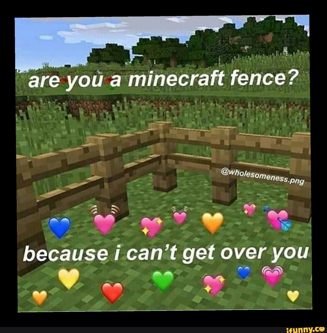 "are you a minecraft fence? - iFunny