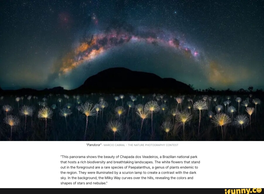 Panorama memes. Best Collection of funny Panorama pictures on iFunny