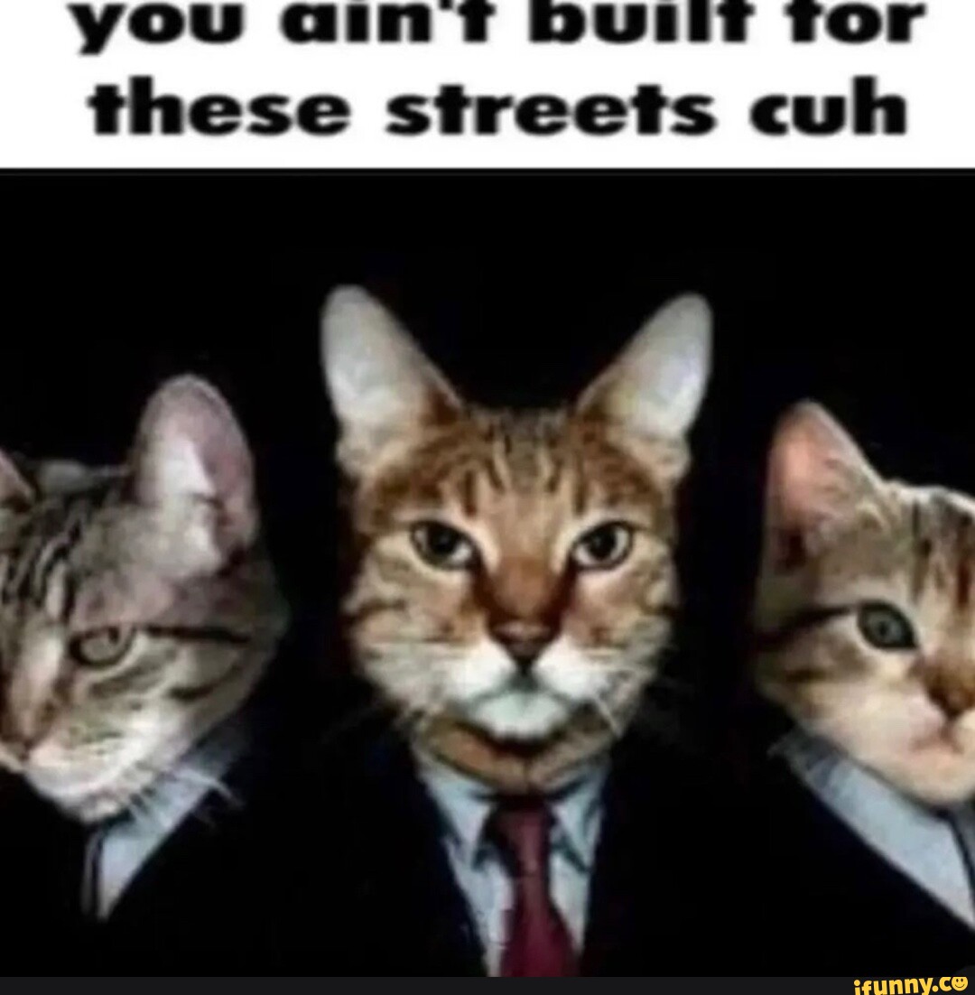 Video memes clkAExbZA by noonn_SS: 2 comments - iFunny