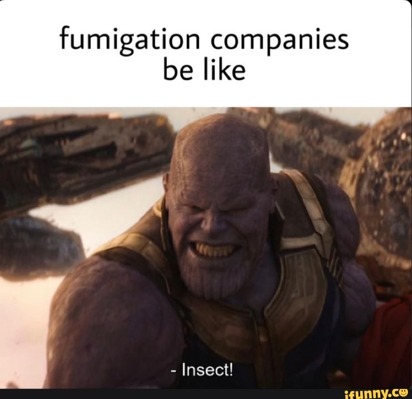Fumigation memes. Best Collection of funny Fumigation pictures on iFunny
