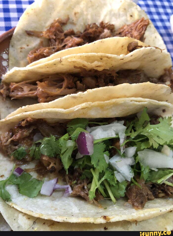 Birria memes. Best Collection of funny Birria pictures on iFunny Brazil