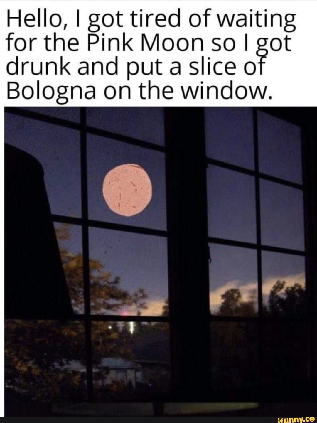 Hello, I got tired of waiting for the Pink Moon so I got drunk and put ...