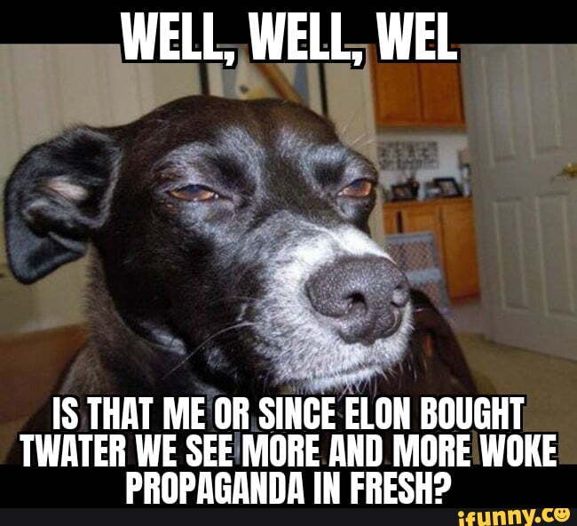Woke_culture memes. Best Collection of funny Woke_culture pictures on ...