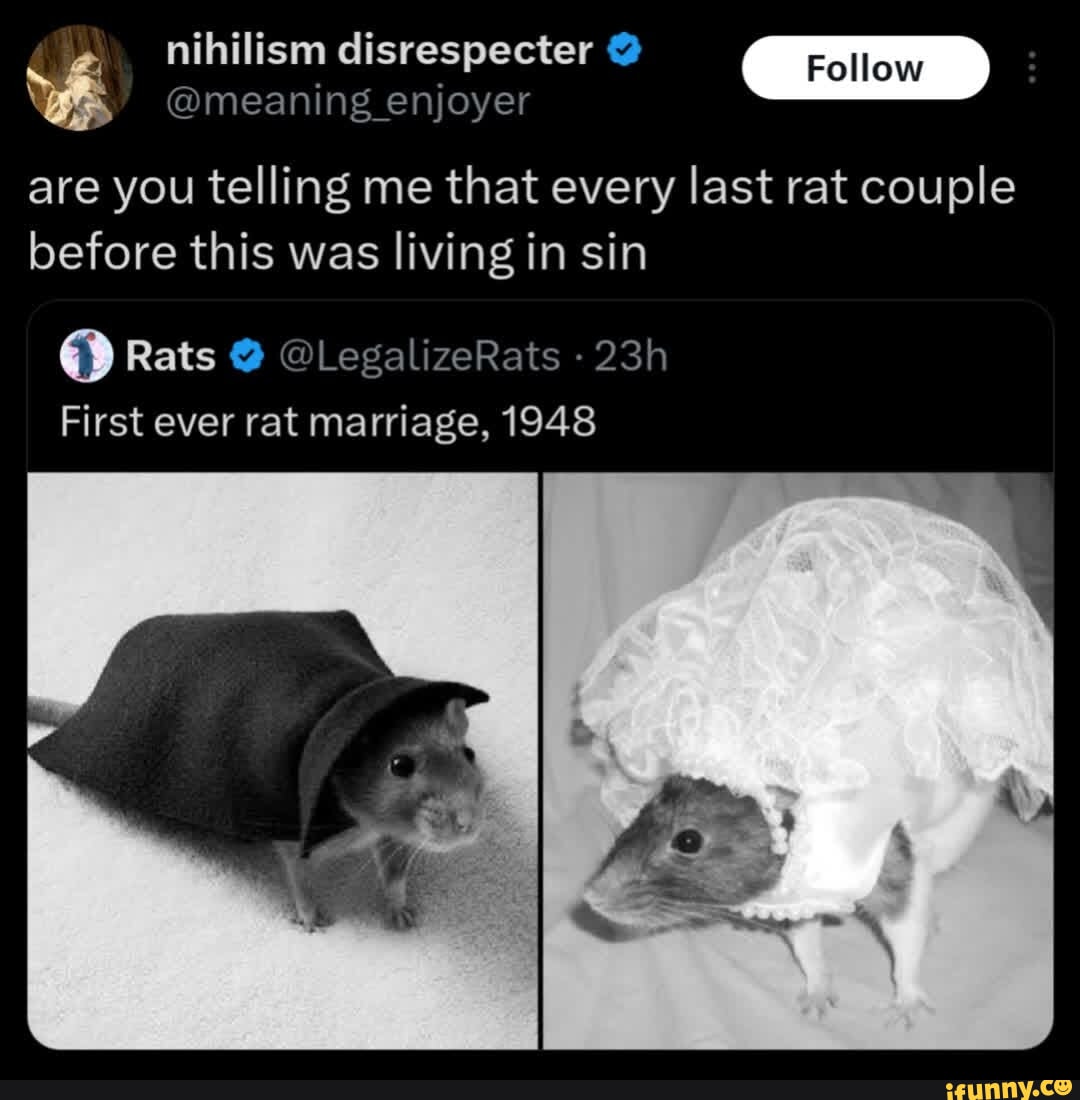 Nihilism disrespecter @ Follow We, @meaning enjoyer are you telling me ...