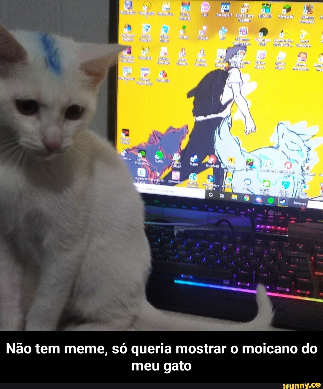Não tem meme, só queria mostrar o moicano do meu gato - Não tem meme ...