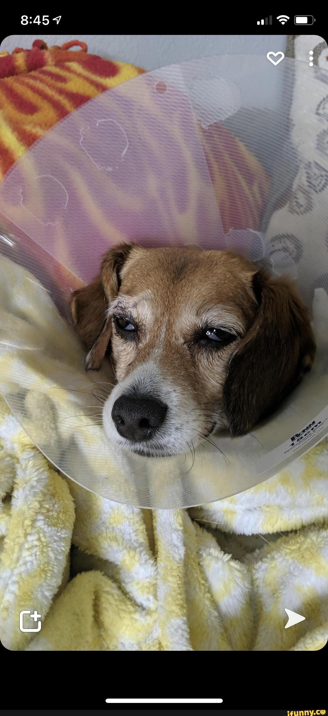 Stye memes. Best Collection of funny Stye pictures on iFunny