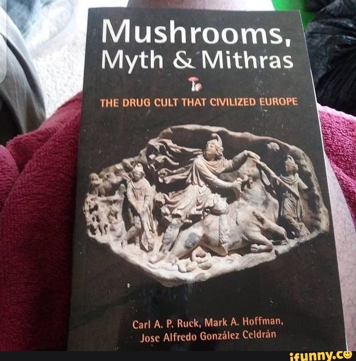 Anglerin memes. Best Collection of funny Anglerin pictures on iFunny