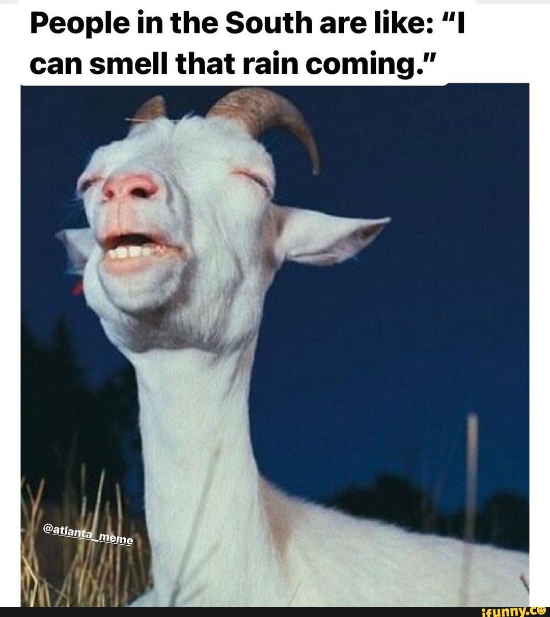 People In The South Are Like Can Smell That Rain Coming Ifunny