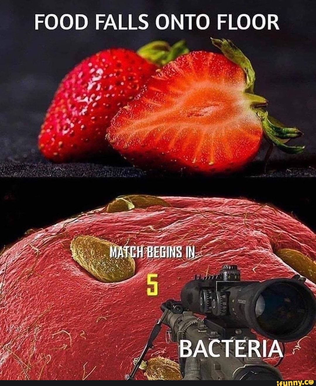 Mator memes. Best Collection of funny Mator pictures on iFunny