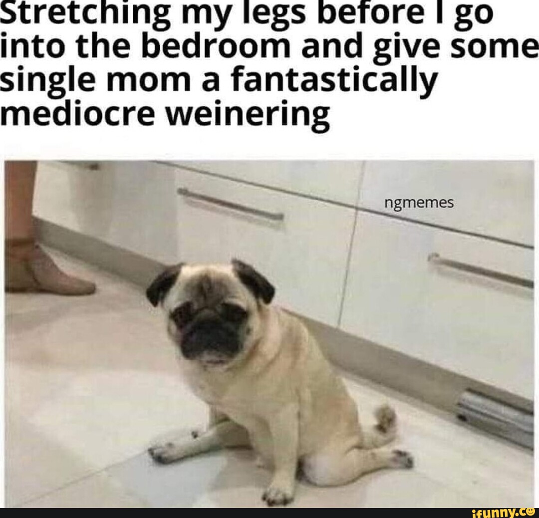 Weinering memes. Best Collection of funny Weinering pictures on iFunny