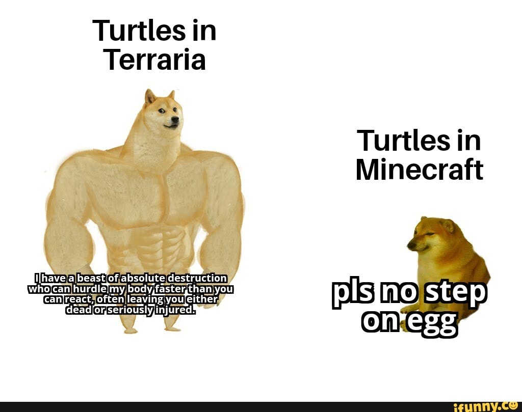 Turtles in Terraria [can) Imy; yor Turtles in Minecraft - iFunny