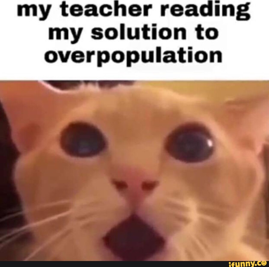 My teacher reading my solution to overpopulation - iFunny