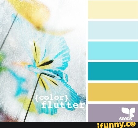 Flutter memes. Best Collection of funny Flutter pictures on iFunny