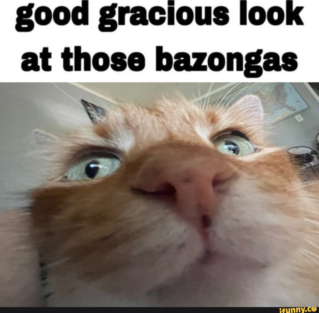 Bazongas memes. Best Collection of funny Bazongas pictures on iFunny