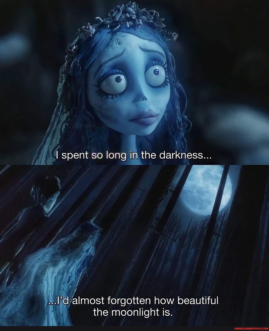 Corpse Bride (2005) / dir. Tim Burton, Mike Johnson 🍿 - spent so long ...