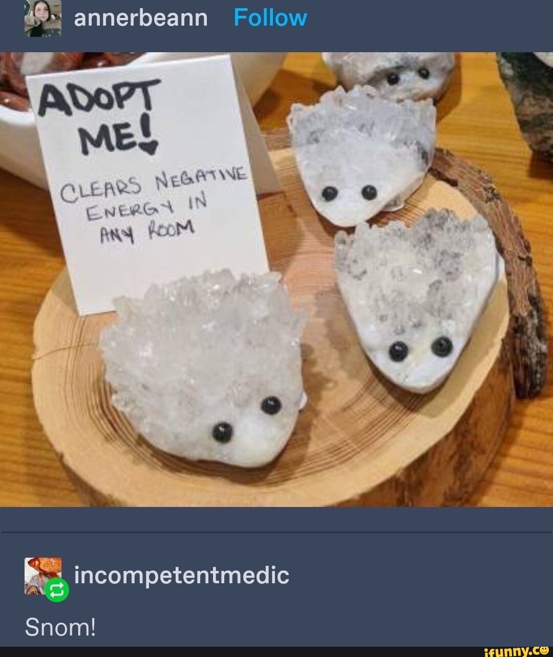 Snom memes. Best Collection of funny Snom pictures on iFunny