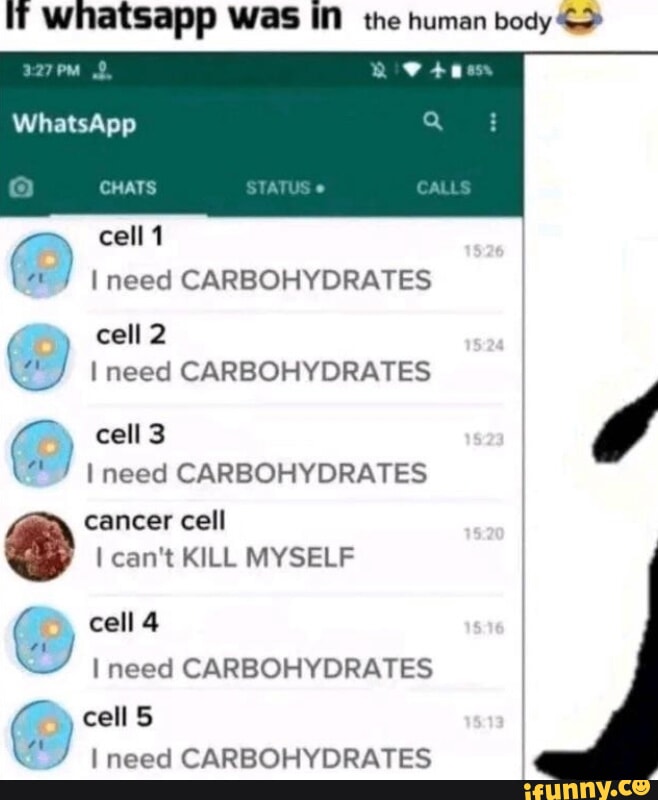 Carbohydrates memes. Best Collection of funny Carbohydrates pictures on ...