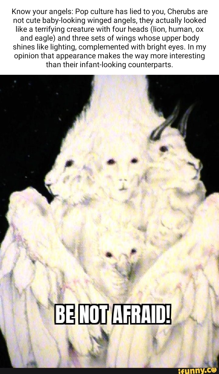 Cherubs memes. Best Collection of funny Cherubs pictures on iFunny