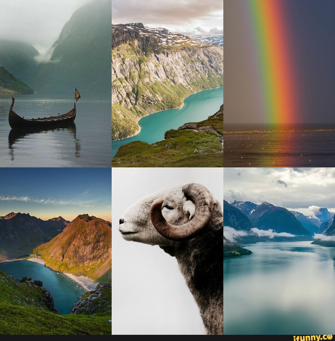 Celticaesthetic memes. Best Collection of funny Celticaesthetic ...