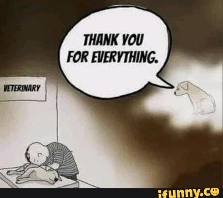 THANK YOU FOR EVERYTHING. - iFunny