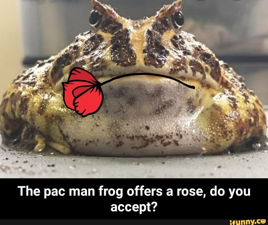 Acceptordecline memes. Best Collection of funny Acceptordecline ...
