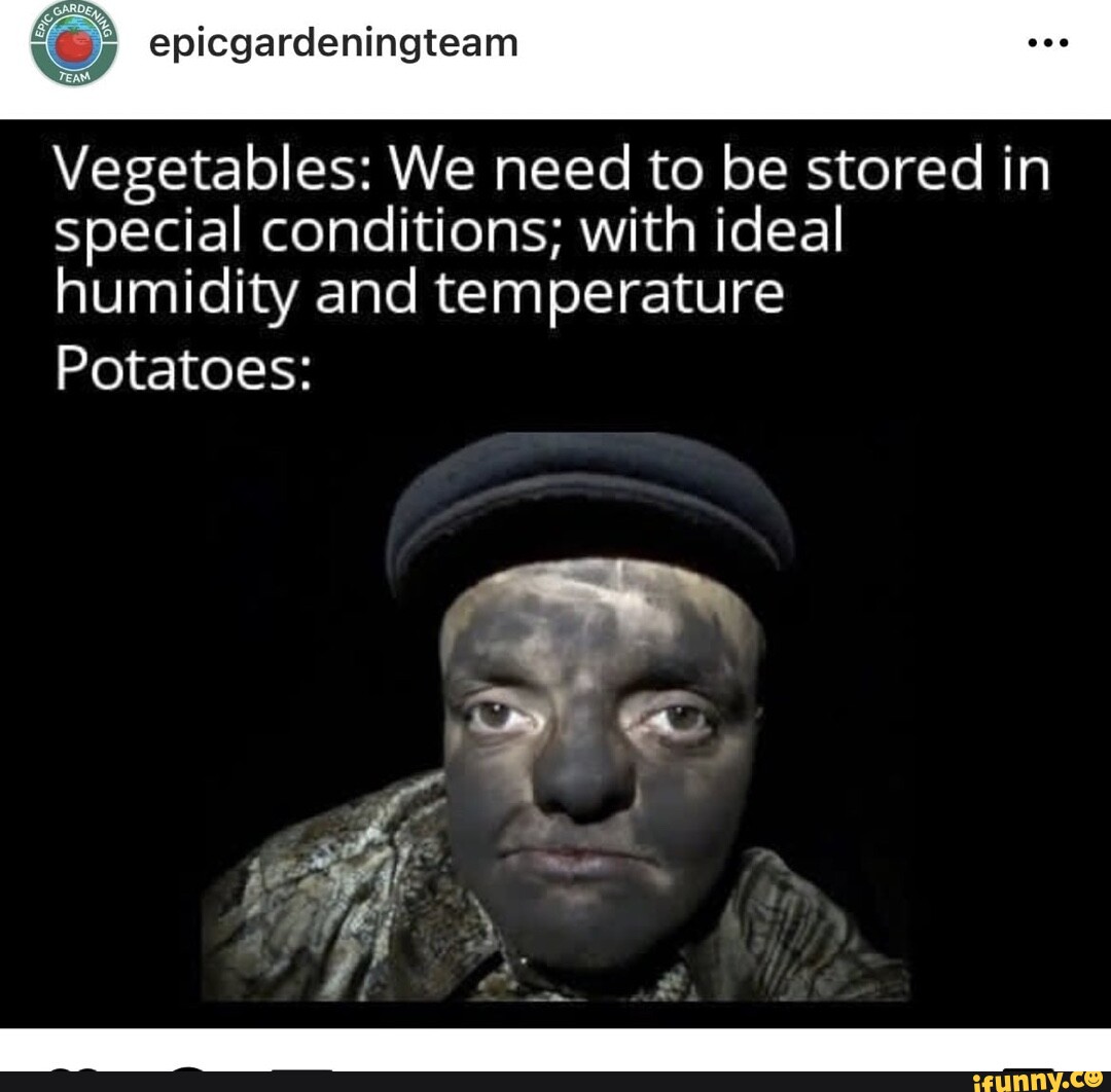 Humidity memes. Best Collection of funny Humidity pictures on iFunny