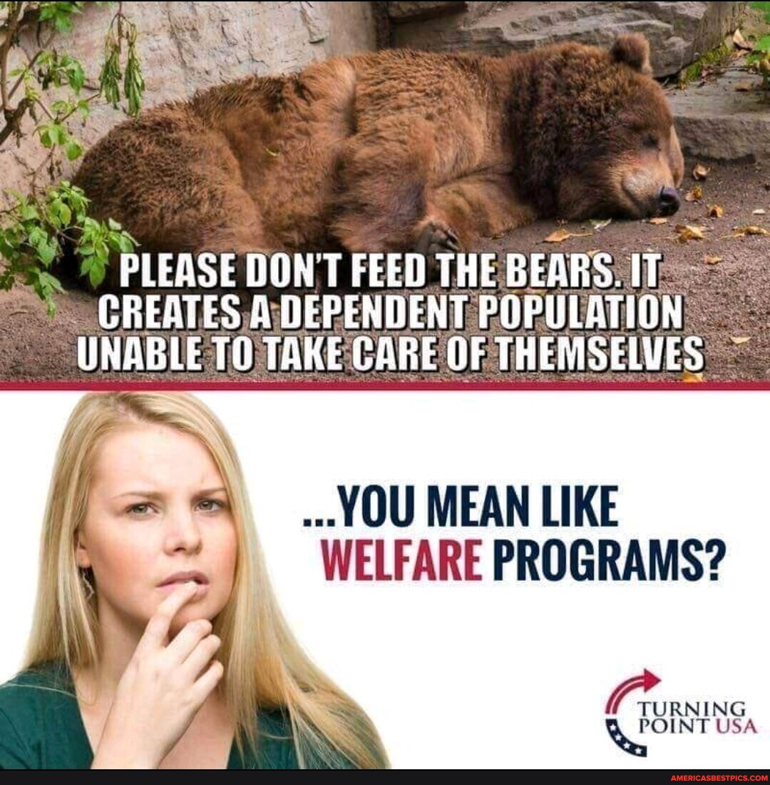 RA PLEASE DONT FEED THE BEARS. CREATES DEPENDENT POPULATION: UNABLE TO ...