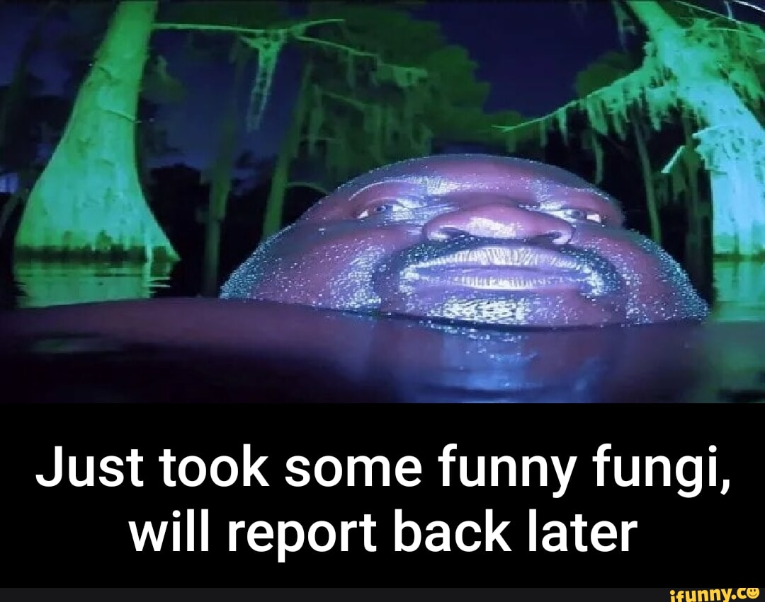 Fungi memes. Best Collection of funny Fungi pictures on iFunny